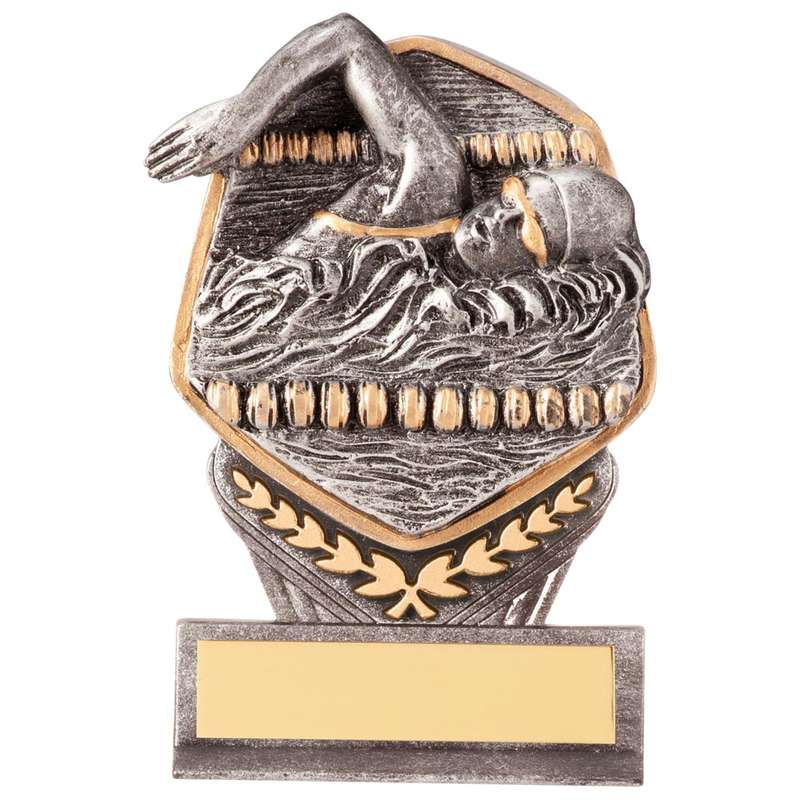 Falcon Swimming Female Award - Spa Trophies Ltd